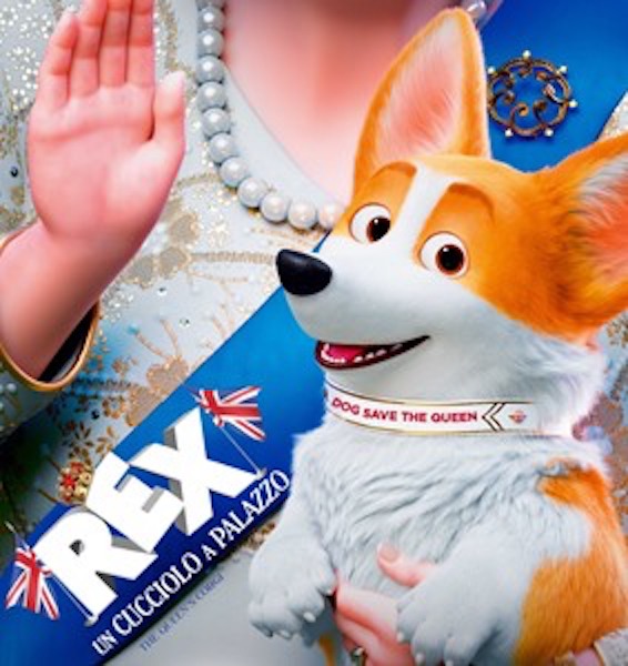 rex film | Tutto Zampe 90310